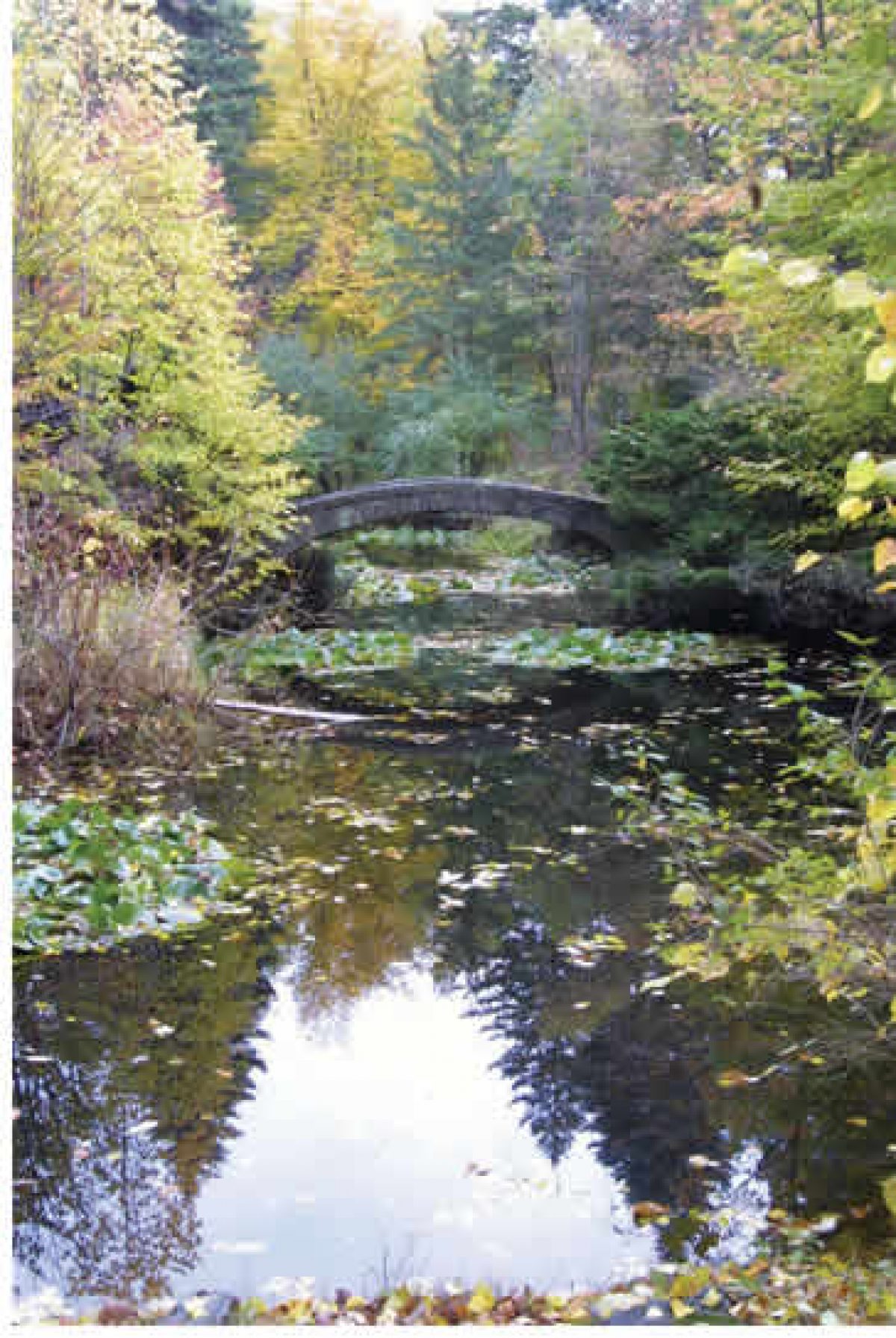 Bridge Over Time | By Graham F. Scott | Lislehurst Bridge, Mississauga ...