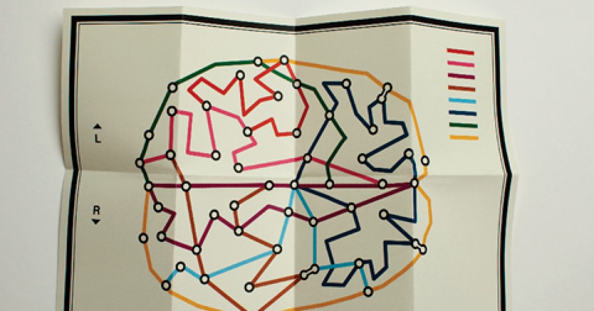 Mapping the Mind | Electronic Map of Human Brain, Randy McIntosh Rotman ...